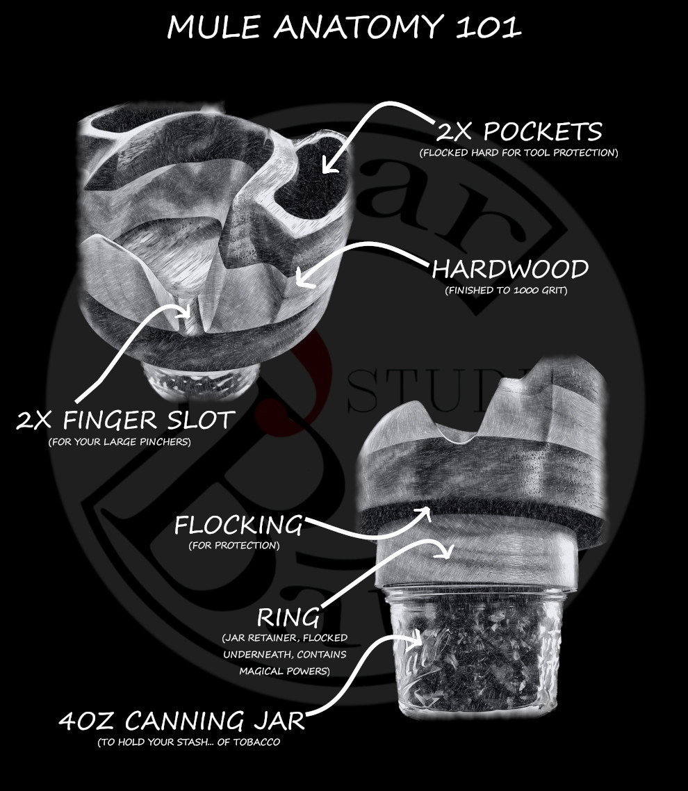 The Mule – Juar Baux Studio